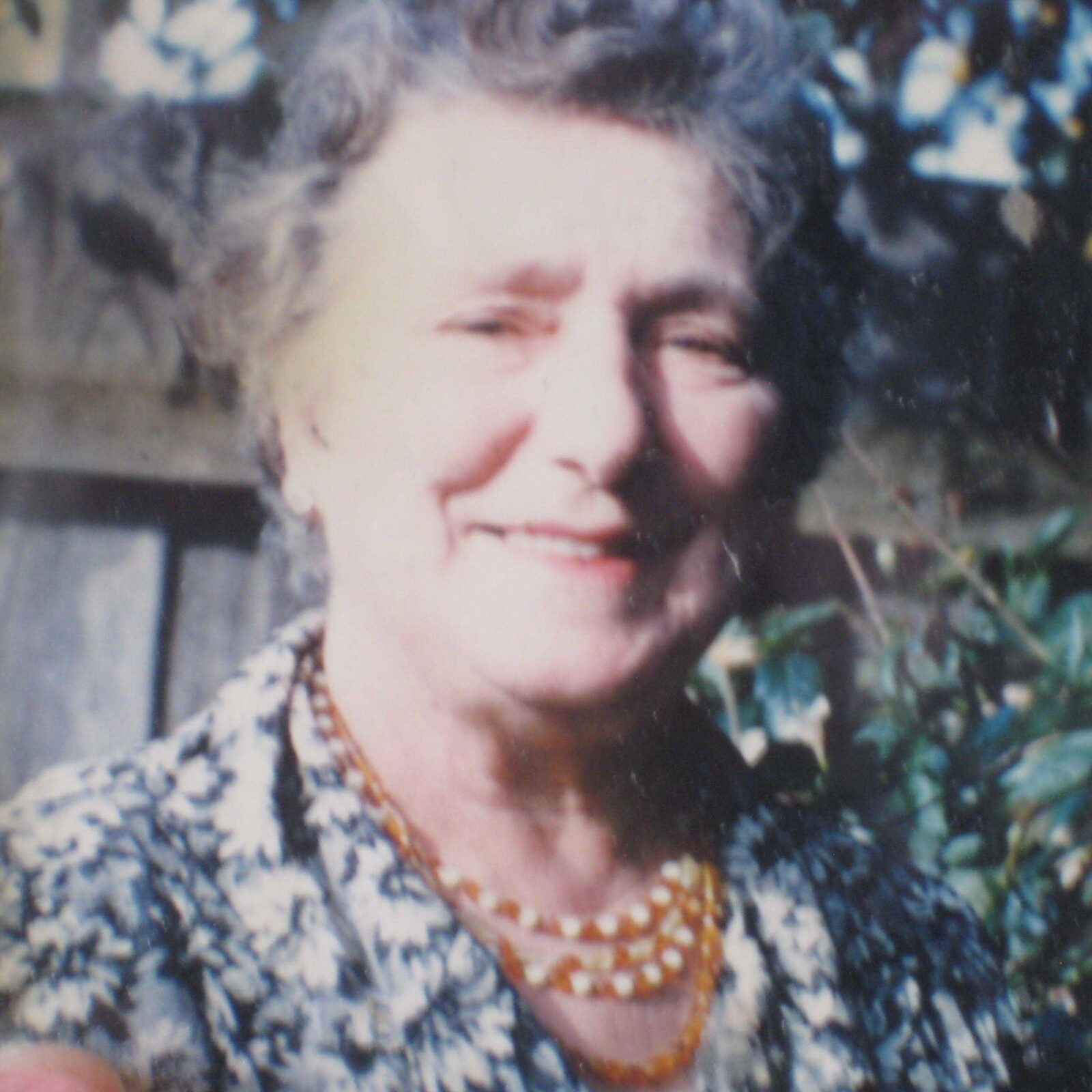 Dale, Sabina (Sybil) Daffodil | AWR